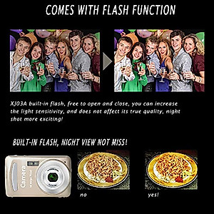 Bibabala Portable Digital Camera, 2.4'' TFT HD Digital Compact Cameras, 16MP Zoom Recording Pocket Camera, Point and Shoot Cameras Mini Camerasfor Kids, Beginners,Teens(Gold)