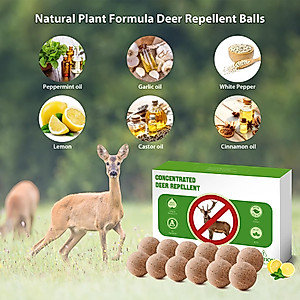 MAGIC CAT Deer Repellent Outdoor, 12 Pack Natural Peppermint Oil Deer and Rabbit Away Repellent for Plants Pet Family Safe, Deer Deterrent for Garden Yard Lawn Tree Protection