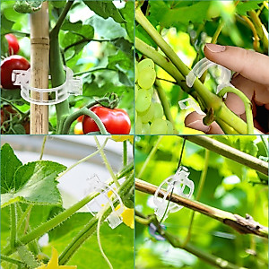 200 PCS Plant Support Clips, Tomato Clips, Plastic Trellis Clips, Grape Vine Tomato Vine Fixing Clip, Garden Clips for Plant Vine Vegetables to Grow Upright and Healthier