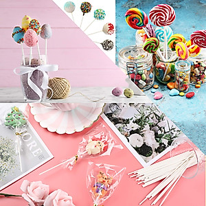 300Pcs 6 Inches Cake Pops Making Tools 100Pcs Cake Pop Sticks 100Pcs Cake Pop Bags and 100Pcs Twist Ties (Thin stick)