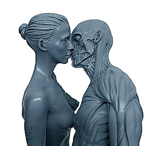 12 inch Resin Human Anatomical Anatomy Skull Head Body Model Muscle Bone Model Male and Female (Grey)