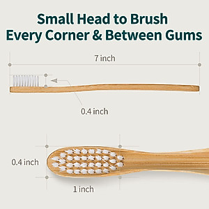 DR.NOAH Maru Bamboo Toothbrush, 6 Pack | Designed by Dentists | Waterproof & Durable Toothbrushes | Soft, Tapered, BPA Free Bristles | Compact Head | Zero Waste