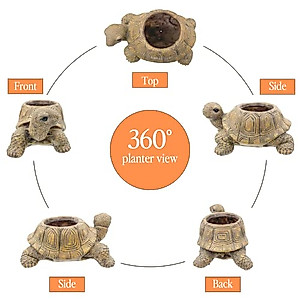 Turtle Planter for Succulents - Animal Planter for Indoor and Outdoor Plants, Turtle Pot Makes Ideal Gift for Any Turtle Lover