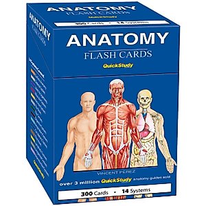 Anatomy Flash Cards: a QuickStudy Reference Tool