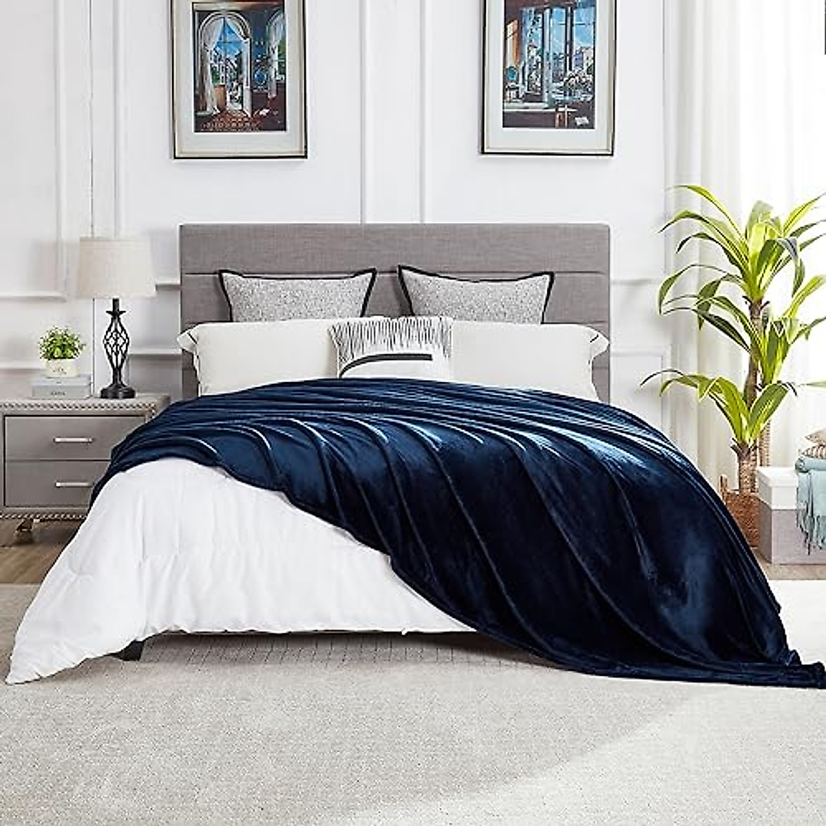 DREAMNINE Large Soft Plush Fleece Throw Blanket 60" x 80", Solid Shag Minky Lightweight Fuzzy Flannel Blanket for Bedroom, Luxury Washable Cozy Warm Velvet Blankets for Couch Sofa, Twin Size,Navy Blue