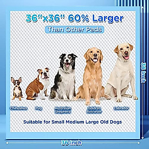 Gimars Extra Large 36x36 Thicker Heavy Absorbency Pet Training Puppy Pee Pads- Jumbo Disposable Polymer Quick Dry No Leaking Pee Pads for Dogs, Cats, Rabbits Pets 45 Counts
