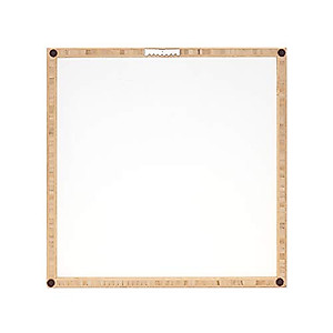 Deny Designs Robert Farkas, Alone in The Forest, Framed Wall Art, Small, 12"x 12"