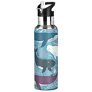 xigua Whale Water Bottle with Straw Lid Vacuum Insulated Stainless Steel Thermo Flask for Sports Cycling Hiking School Home,20 oz.