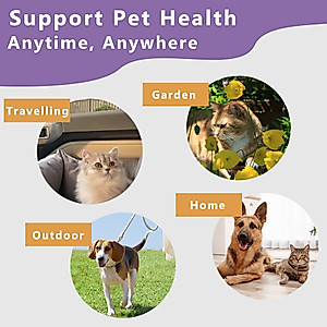 VVWVVW Veterinarian-Recommended cat Wipes and Dog Wipes Prevent Tear Stains, Remove Dirt and scabs, Prevent Infection, Reduce Irritation and itching, and are Easy and Safe to use -100 Tablets