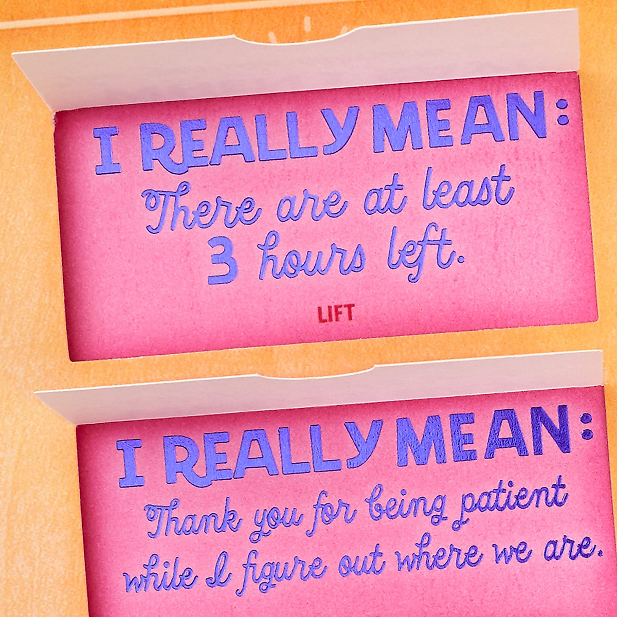 Hallmark Funny Birthday Card for Wife (Really Mean It)