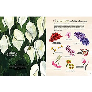 Trees: An Illustrated Celebration