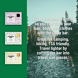 Nature's Apothecary Lemongrass Shampoo Bar - All-Natural, Handmade in USA - Eco-Friendly, Vegan - Sulfate-Free - All Hair Types - 5 oz.