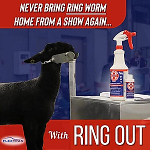 Show Pro Blue Nylon Sheep Blanket with Mesh Butt for Show Sheep & Lamb - Livestock Supplies for Sheep Cover. Free Ring Out Concentrate for Proven Ringworm & Fungus Prevention Included (Medium)