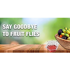 BEAPCO 10036 7 Red 6-Pack Premium Fruit Fly 6 Pre-Filled Trap Flies Indoors | Easy Effective and Safe to Use | Food-Based Lure/Bait Catcher