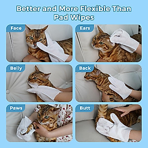 Vannon Extra Thick Pet Bathing Wipes for Dogs & Cats, Cleaning & Deodorizing Grooming Gloves, Nourish Fur Glove Wipes for Daily Care and Traveling, Rinse Free, Unscented, 6 PCS
