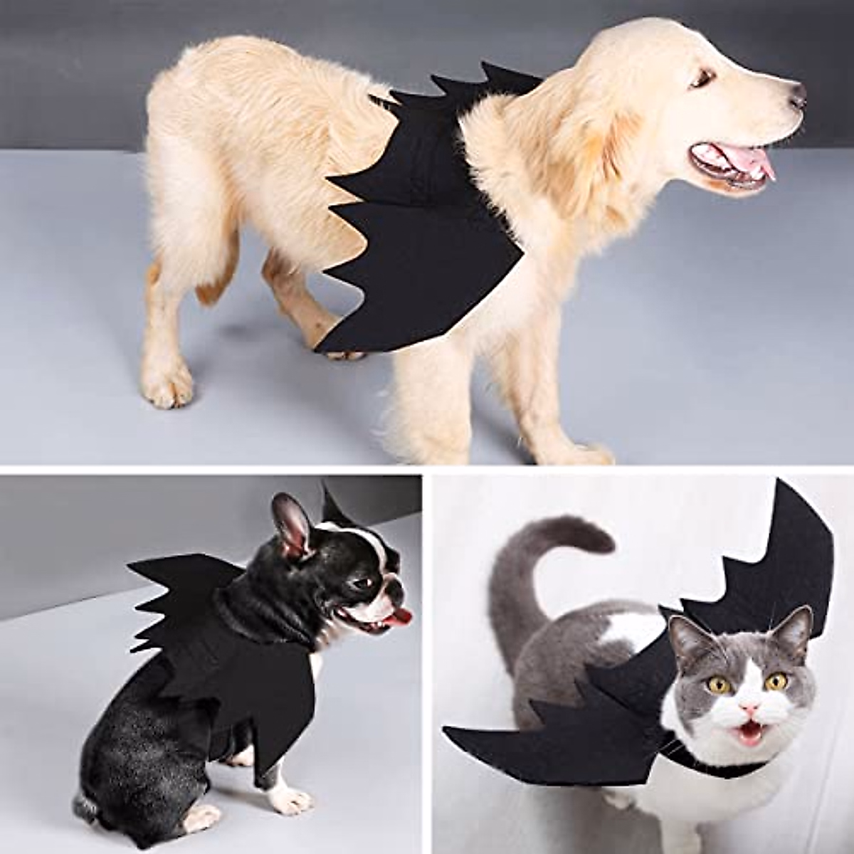 Brocarp Dog Bat Costume, Halloween Pet Costumes Dog Bat Wings, Cosplay Cat Dog Costume Party Clothes Funny Outfit Cool Apparel for Small Medium Large Dogs Cats (XL)