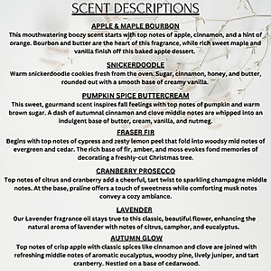 Wickless Candles For Candle Warmer Lamp, Many Scents To Choose, 100% Non-Toxic Soy Wax, Scented Candle Melts For Warming Plate, Handmade In The USA (Citrus Sunshine)