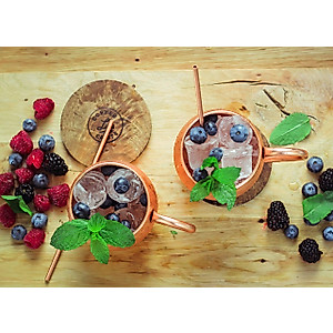 Moscow Mule Copper Mugs Set - 4 Authentic Handcrafted Copper Mugs (16 oz.) with 2 oz. Shot Glass, 4 Straws, 4 Solid Wood Coasters and Recipe Book - Gift Box Included