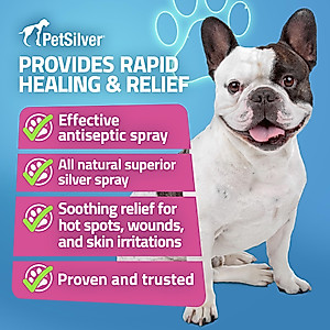 PetSilver Wound & Skin Spray - Chelated Silver, Superior to Colloidal Silver - Dog Wound Spray, Hot Spot, Allergy Relief for Dogs, Itch Spray for Cats - Natural Skin Soother - Made in USA - 8 fl oz