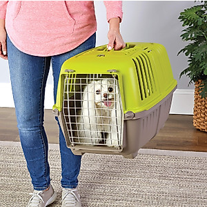 MidWest Homes for Pets Spree Travel Pet Carrier, Dog Carrier Features Easy Assembly and Not The Tedious Nut & Bolt Assembly of Competitors, Green, 24-Inch Small Dog Breeds (1424SPG)