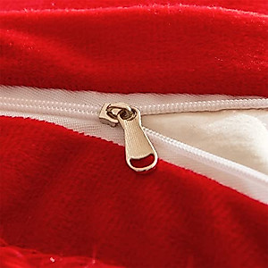 Red Fluffy Comforter Cover Shaggy Plush Set,Ultra Soft Faux Fur Duvet Cover Bedding Sets Queen 3 Pieces with Pillow Cases, red Fuzzy Bed Set Zipper Closure (Red, Queen)