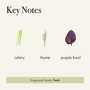 Lafco Reed Diffuser, Dining Room Celery Thyme, 15 Fl Oz