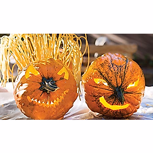 MIXED SEEDS! 50+ Pumpkin and Winter Squash MIX Seeds NON-GMO 25 Varieties Delicious Grown in USA. Rare, Super Profilic and Delicious HARLEY SEEDS