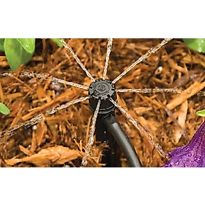 Rain Bird MBF4PKS Drip Irrigation Micro-Bubbler on Stake, 360° Full Circle Pattern, 0 - 3' Spray Distance, 4-Pack,Black