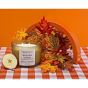 Mulled Cider Candle | Fall Candles | Luxury Soy & Beeswax Candles for Home | 16 oz. Large Jar 3 Wick Candle | Apple Cider Candle | Thanksgiving Candle | Autumn Candles