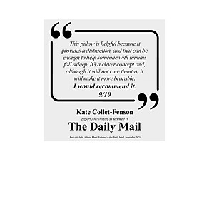 Sound Pillow New Sleep System