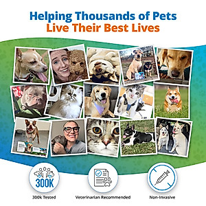 5Strands Pet Nutrition Deficiency Test, 44 Vitamins and Minerals Tested, at Home Dog or Cat Hair Sample Collection Kit, Results in 7 Days, Works for All Ages and Breeds