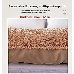 Plush Thicken Floor Mattress Non-Slip Quilting Tatami Mattress Japanese Foldable Futon Mat Single Double Mattress Topper Full Size for Adult Child etcC-100x200cm(39x79inch)