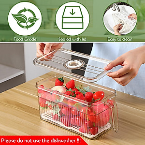 Blushtier 4 Pcs Fridge Organizer Bins with Drain Tray and Lid Handle Plastic Stackable Timer Keep Fresh Sealed Food Storage Container for Vegetables Fruit Salad Lettuce, 10 x 5.3 x 5.3 (Drain Tray)