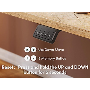 FEZIBO Electric Standing Desk, 48 x 24 Inches Height Adjustable Stand up Desk, Sit Stand Home Office Desk, Computer Desk, Maple