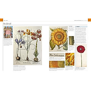 Remarkable Books: The World's Most Historic and Significant Works (DK History Changers)