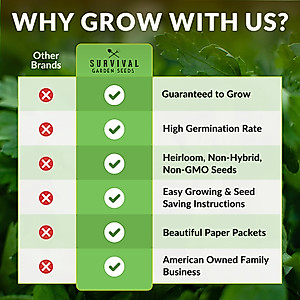 Survival Garden Seeds Zucchini & Squash Collection Seed Vault - Non-GMO Heirloom Seeds for Planting Vegetables - Assortment of Golden, Round, Grey, Black Beauty Zucchinis, Straight Neck Summer Squash