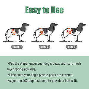 Wegreeco Washable Male Dog Belly Band (Stylish Pattern)- Pack of 3 - Washable Male Dog Belly Wrap, Dog Diapers Male (M, Magic)