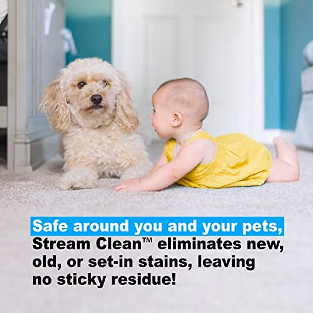 Urine Gone Stream Clean, Heavy Duty Carpet Stain & Odor Eliminator Deep Cleans with Fast Acting Natural Enzymes + Probiotics Eliminating Stains and Odor Permanently, No Scrubbing, 18 oz. (1pack)