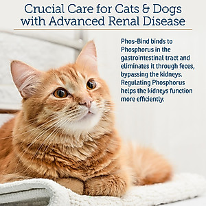 Rx Vitamins Phos-Bind - Kidney Support Supplement Powder - Phosphate Binder for Cats & Dogs for Kidney Health - Supports Normal Kidney Cleanse and Essential Kidney Care - 200g