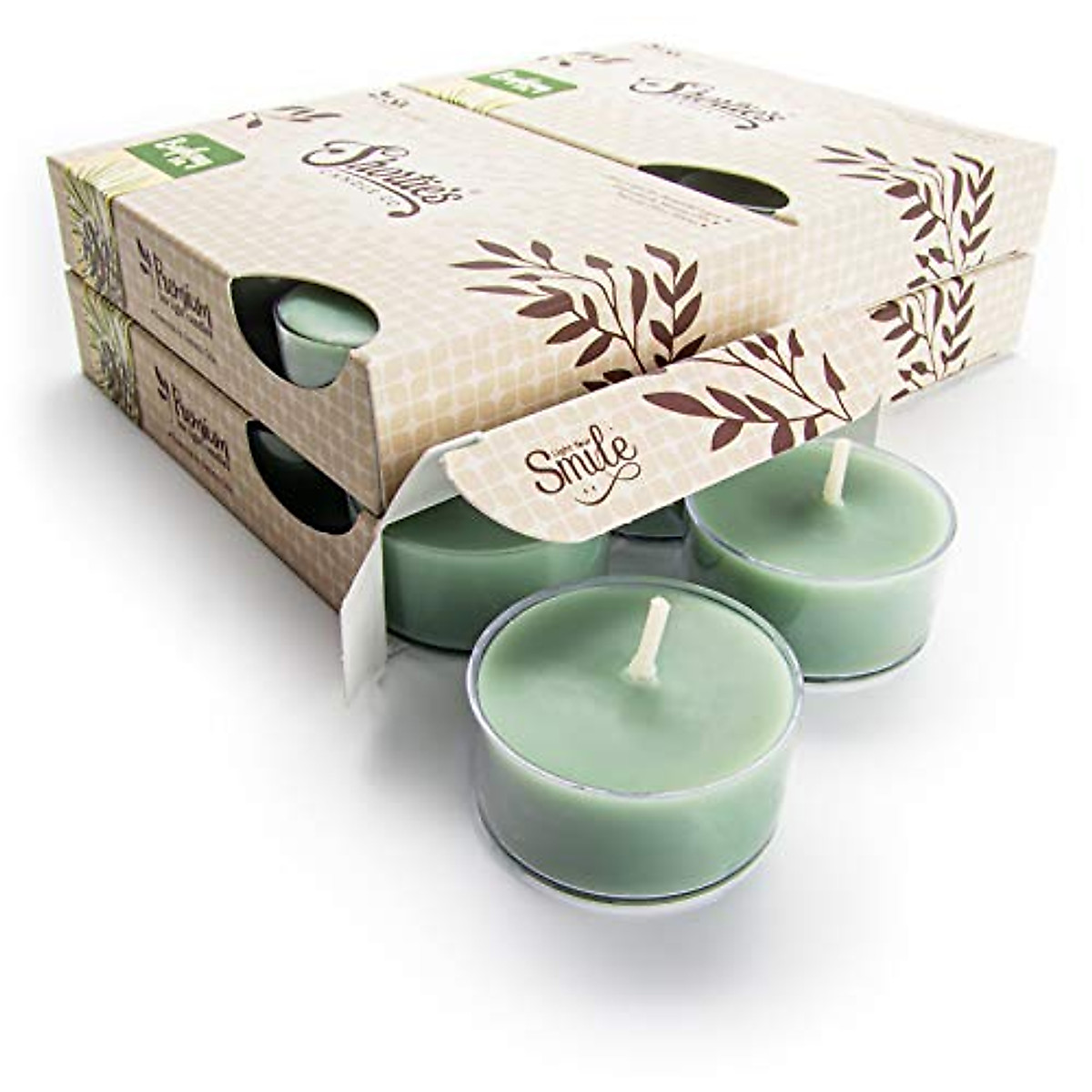 Bayberry Fir Premium Tealight Candles Bulk Pack - Highly Scented with Essential Oils - 24 Green Tea Lights - Beautiful Candlelight - Made in The USA - Christmas & Holiday Collection