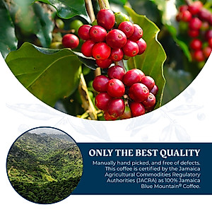 JA Coffee – 100% Jamaica Blue Mountain Coffee, Medium Roast, Whole Beans - Premium Arabica, Bag of 340 grams (0.75 Pounds - 12 ounces)