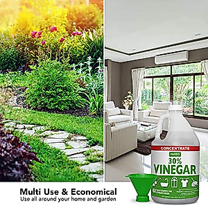 Harris 30% Vinegar, Extra Strength with Easy Fill Funnel Included (Gallon (1-Pack))
