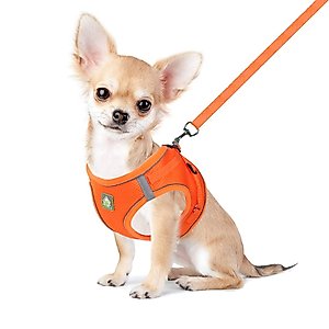 FEimaX Dog Harness and Leash Set, No Pull Breathable Soft Mesh Puppy Vest Harness Reflective Adjustable Pet Harnesses for Small Medium Dogs and Cats - Outdoor Easy Control for Walking