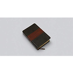 ESV Large Print Personal Size Bible (TruTone, Forest/Tan, Trail Design)