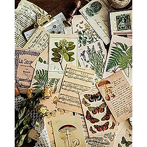 Knaid Vintage Style Postcard Set, Pack of 30 Botanical Plants Butterfly Mushroom Leaves Fruits Retro Postcards