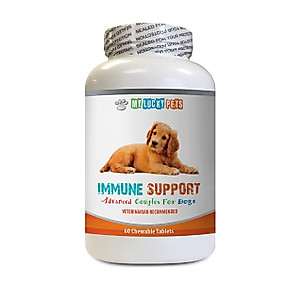 MY LUCKY PETS LLC Dog antioxidant Treats - Dog Immune Support - Overall Health and Wellness Boost - ANTIOXIDANT - Liver Health - Dog Mushroom Supplement - 1 Bottle (60 Treats)