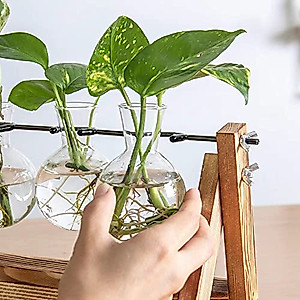 Ivolador Desktop Propagation Station, Bulb Plant Terrarium with Retro Solid Wooden Stand and Metal Swivel Holder for Hydroponics Plants Home Garden Wedding Decor (3 Bulb-C Type)