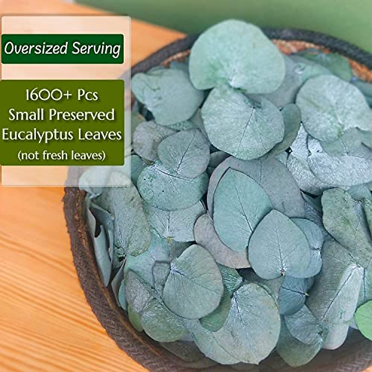 1600+ Small Preserved Real Eucalyptus Leaves, 100% Natural Bulk Eucalyptus, Biodegradable Wedding Leaves Confetti for Anniversaries, Birthday, Graduation, Bridal Showers, Baby Shower Party Decor