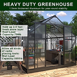 AMERLIFE 8x10x7.5 FT Polycarbonate Greenhouse 2 Sliding Doors 2 Vent Window Walk-in Premium Greenhouse Storage Shed Sunroom Aluminum Large Hot House for Outdoor Garden Backyard Matte Black