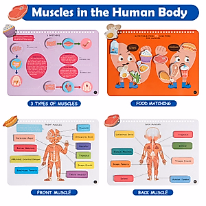 Freebear Montessori Busy Book for Kids, Human Body Anatomy Book for Toddlers, Preshool Kindergarten Learning Activities, Autism Sensory Toys, Travel Toys, Gifts for Girls and Boys 4 5 6 7 8 Years